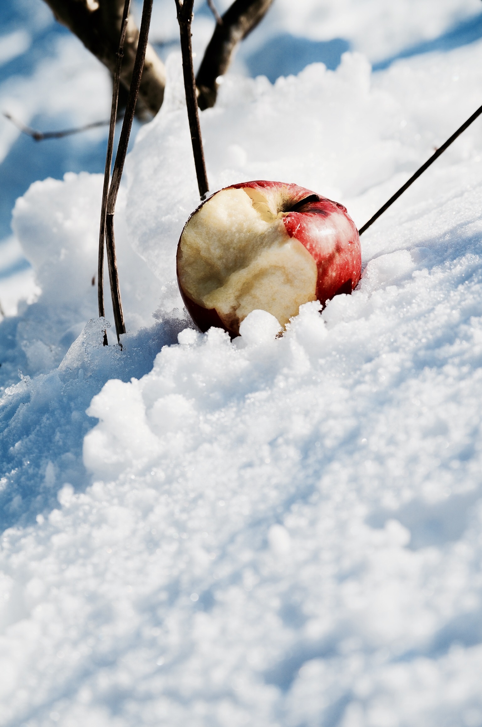 Komek Foto Galeri Anasayfa - Kocaeli Büyükşehir Belediyesi