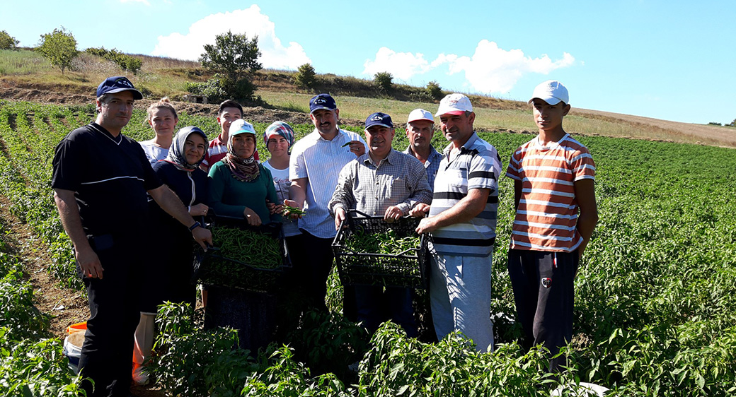 Ata tohumları Kocaeli’nde hayat buluyor - Kocaeli Büyükşehir Belediyesi